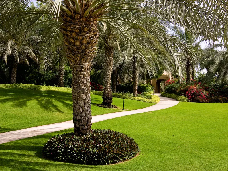 Best Landscaping Companies in UAE | Buildeey