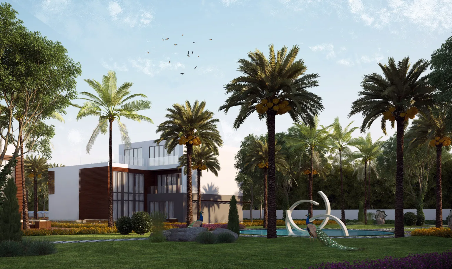 Design Haus Medy | Buildeey