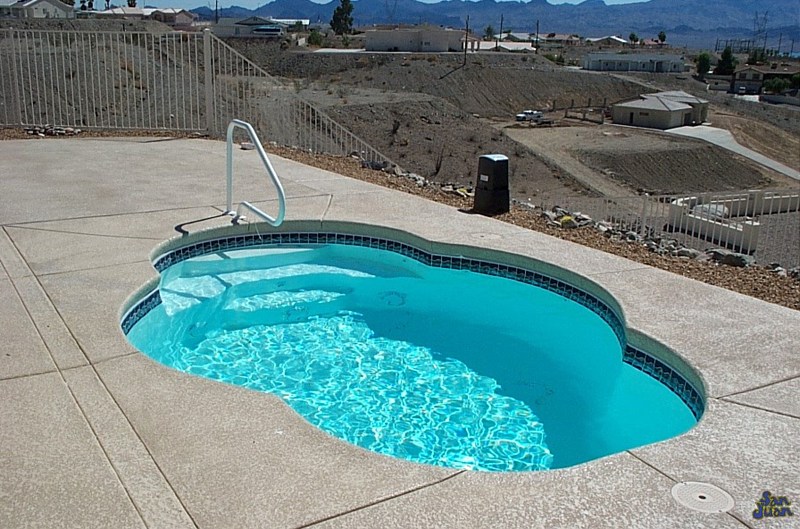 Dolphin pools | Buildeey