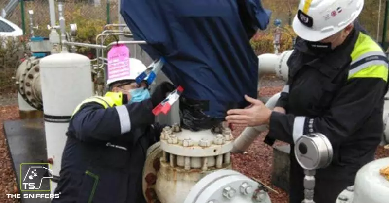 GAS Arabian Services | Buildeey