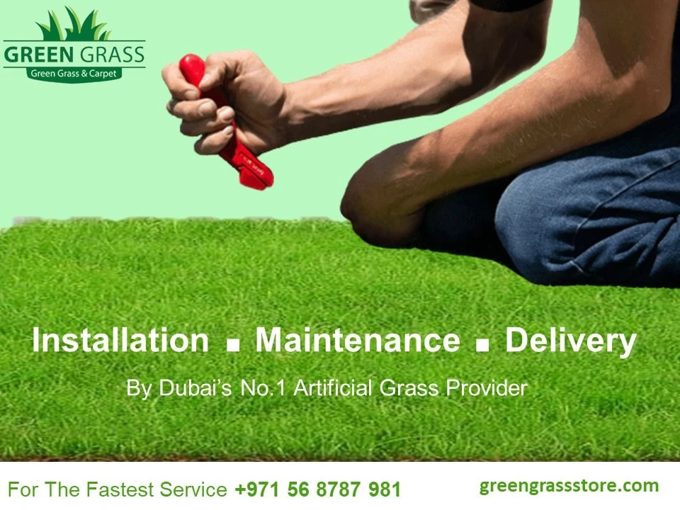 Green Grass Store | Buildeey