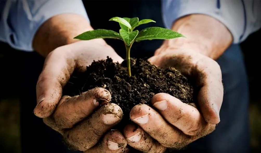 Green International Quality Assessment & Certification | Buildeey