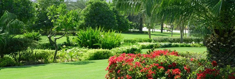 Orient Irrigation Services LLC | Buildeey