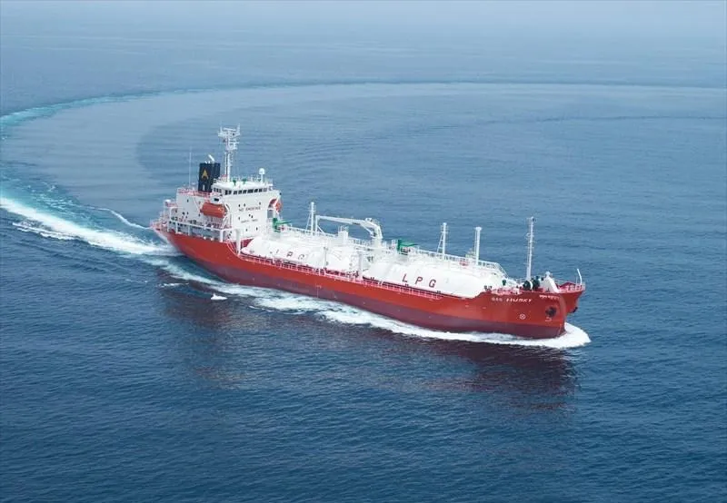 Rhine Shipping DMCC | Buildeey