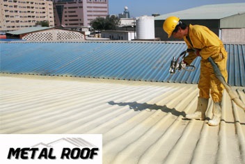 Roof Care | Buildeey