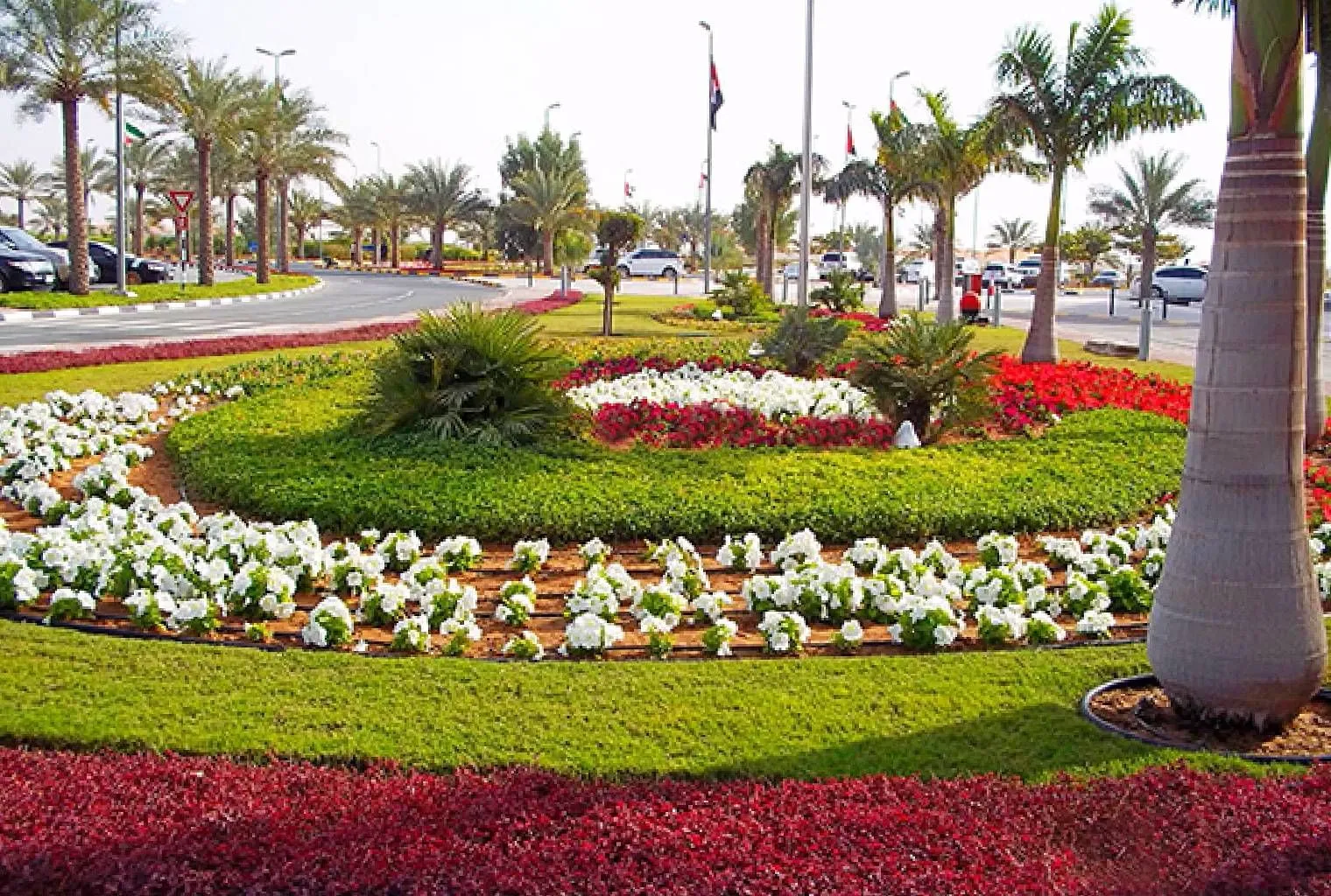 TORNADO TOTAL LANDSCAPE | Buildeey