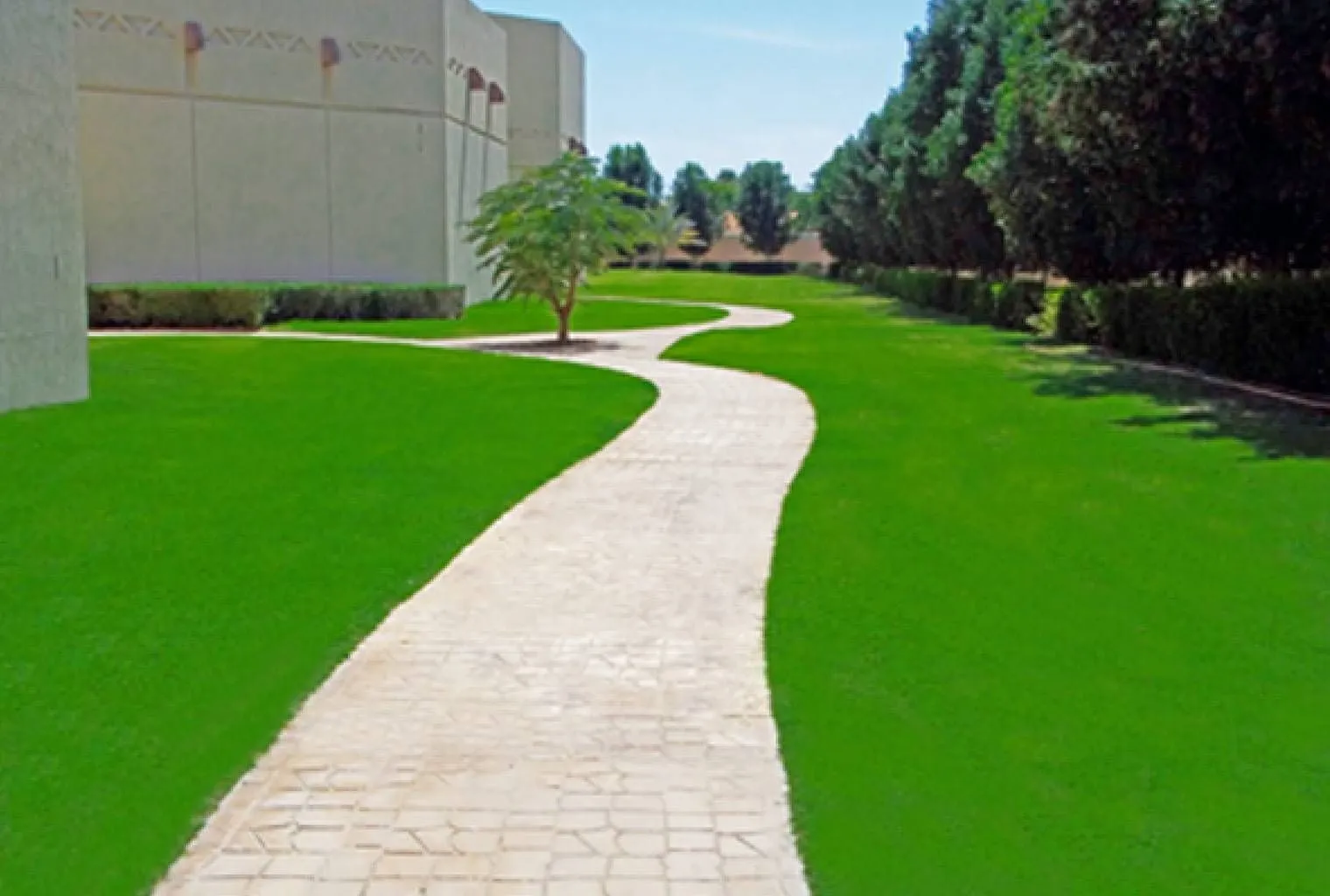 TORNADO TOTAL LANDSCAPE | Buildeey