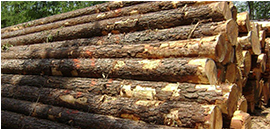 Trans Arabian Trading LLC | Buildeey